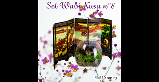 Set DIY Wabi Kusa #8